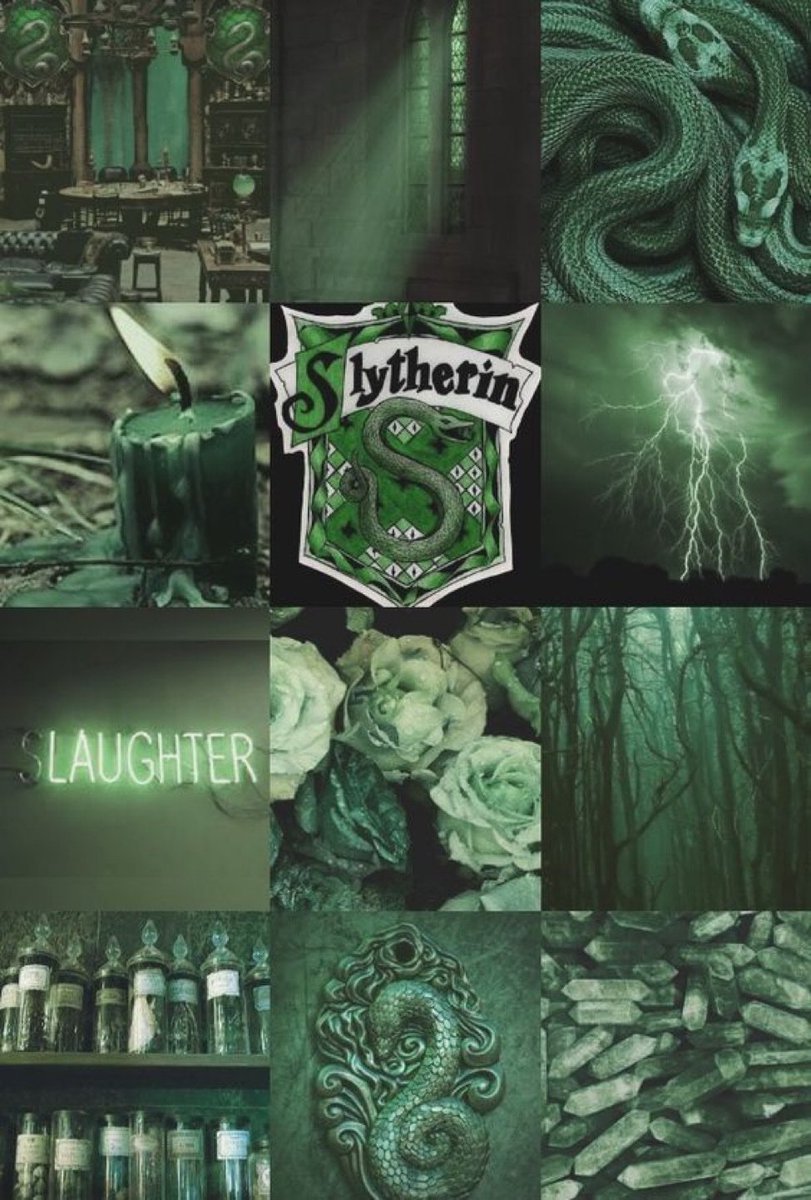 Hogwarts on Twitter: "Slytherin aesthetic 🐍"