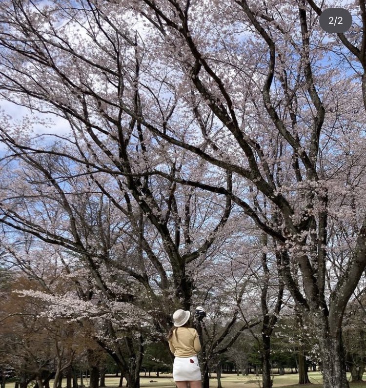 関本 玲菜/Rena Sekimoto on Twitter: "ゴルフとサクラと私 ⛳️🌸👩🏻 https://t.co/dHAN8wTO8n" / Twitter