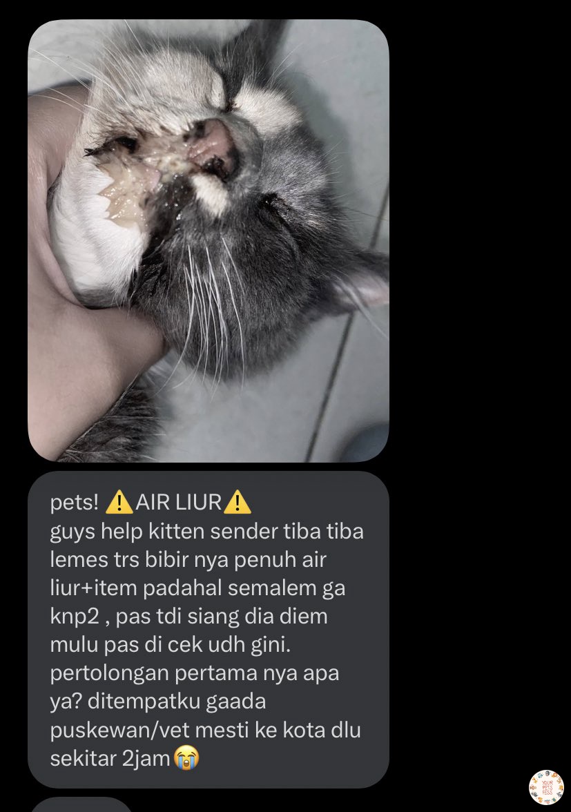 Teman π (ON) on Twitter: Teman π (ON) on Twitter: