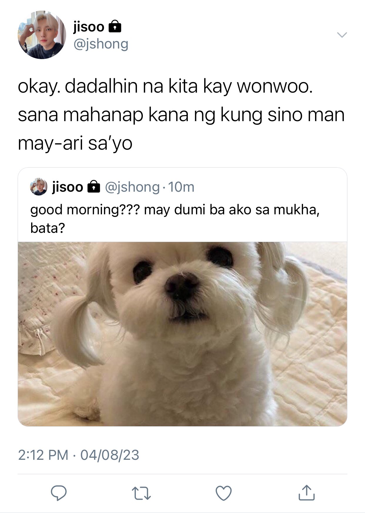 ex9 11th! ️ on Twitter: "18 — 🐶 https://t.co/G5mI1TECBf" / Twitter