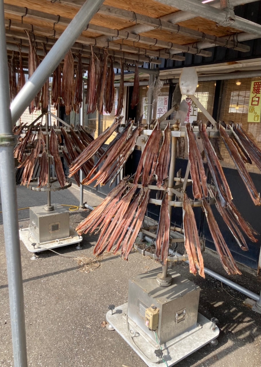 tzm on Twitter: "とばOC https://t.co/ndM9lqmQCF" / Twitter