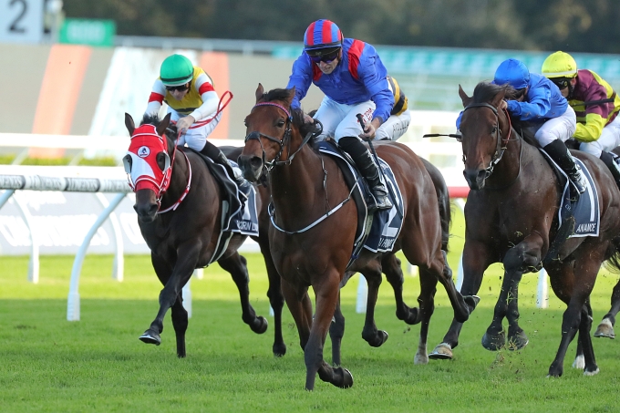 JRA-VAN公式 on Twitter: "【クイーンエリザベスS】レース後のユニコーンライオン関係者のコメントです！ 矢作調教師「悪い馬場もしっかりこなしていたし、力を出し切ってくれたと ...