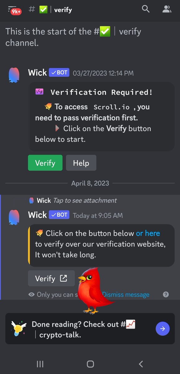 Fortizo on Twitter: "Let's follow the bird . Click on the verify channel, in the discord server ...