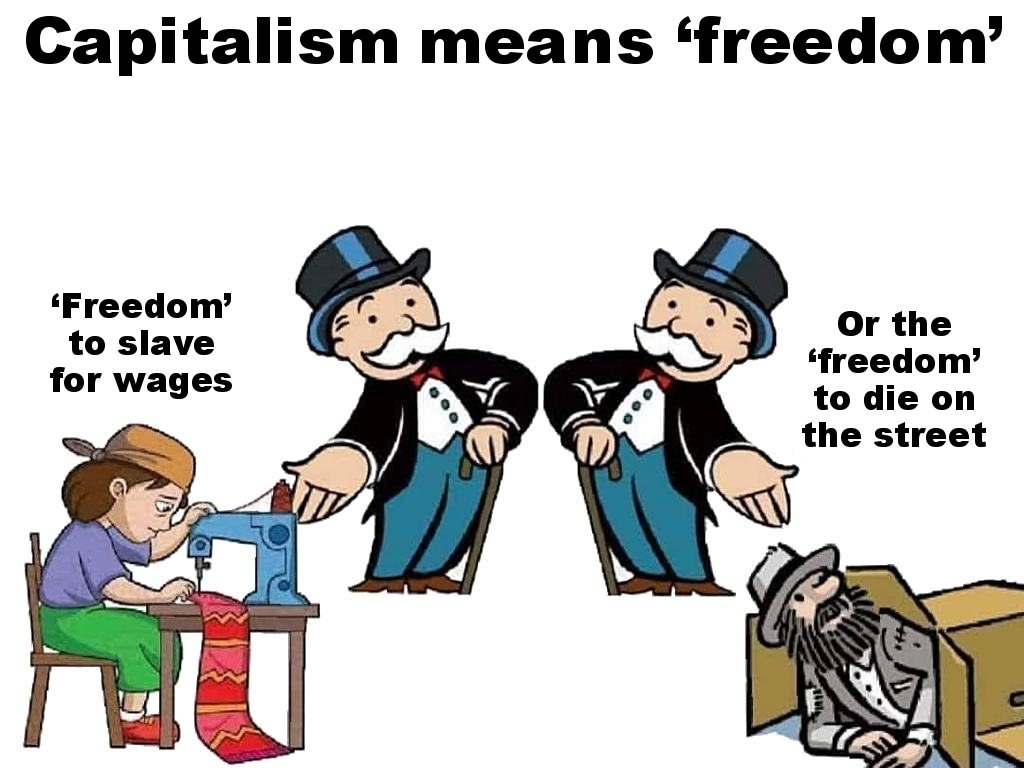 Capitalism Vs Socialism Cartoon