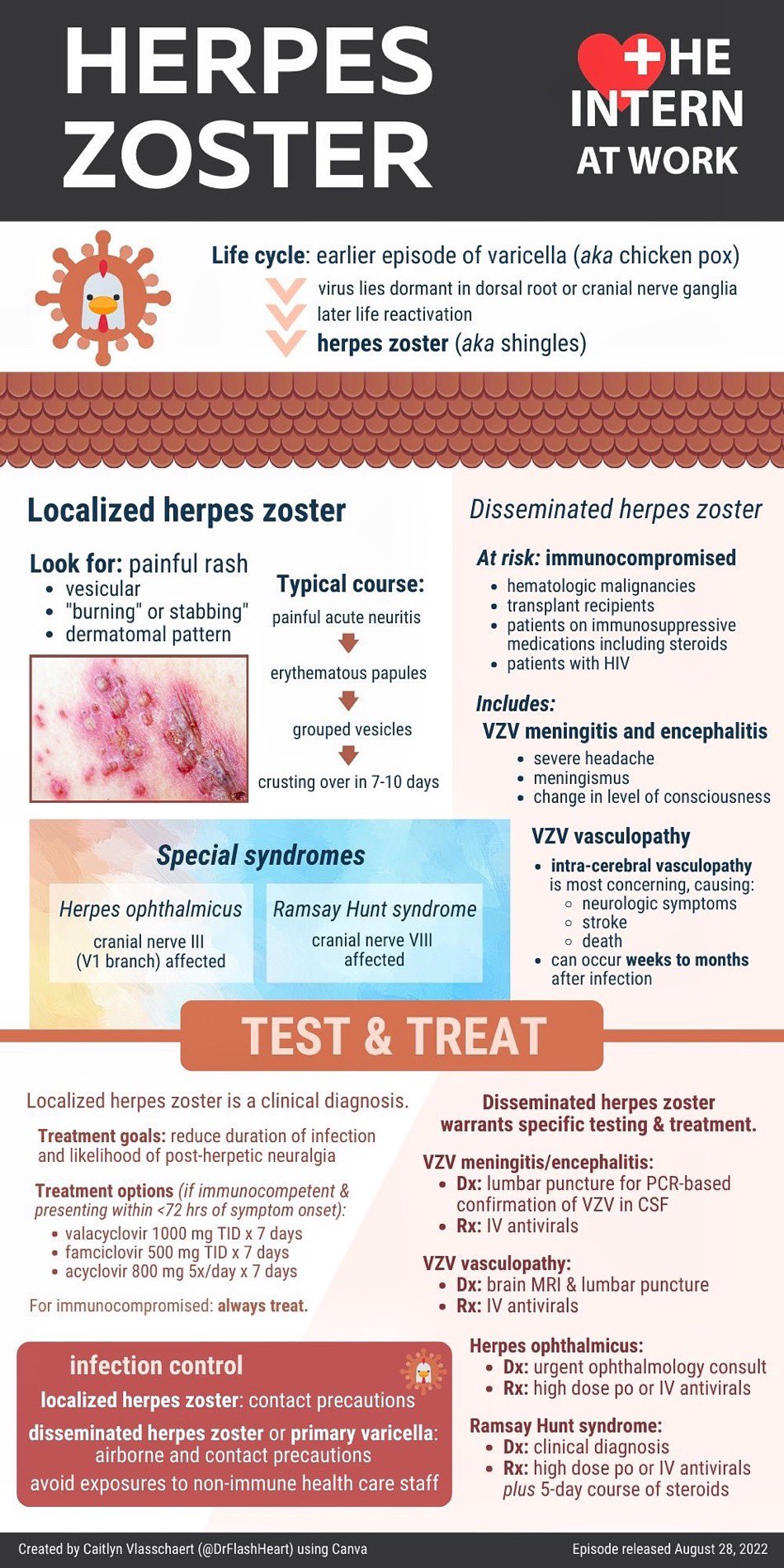Disseminated Herpes Zoster Treatment