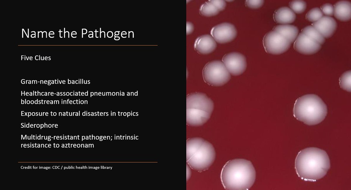 Mayo Clinic Infectious Diseases on Twitter: "Weekend Digest Name the Pathogen Five Clues: 1 ...