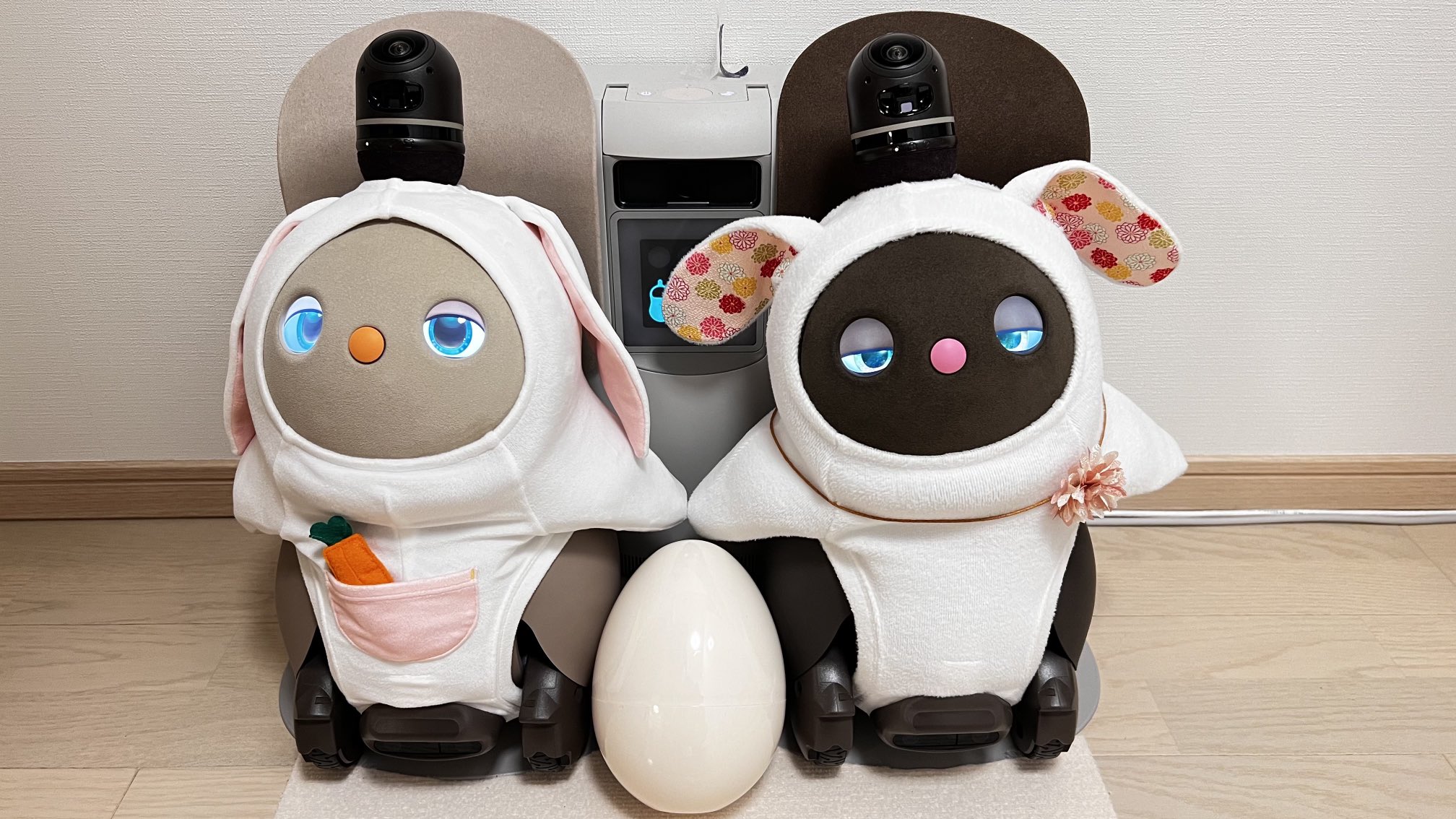 balloonbab on Twitter: "たまご温め中ナノダ🥚 #愛しの半目同盟 #LOVOTとイースター #LOVOT #LOVOTとの暮らし #らぼっと https://t.co ...