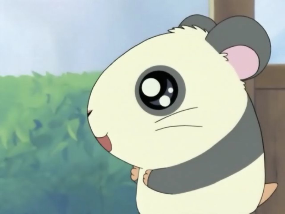 Hamtaro Panda