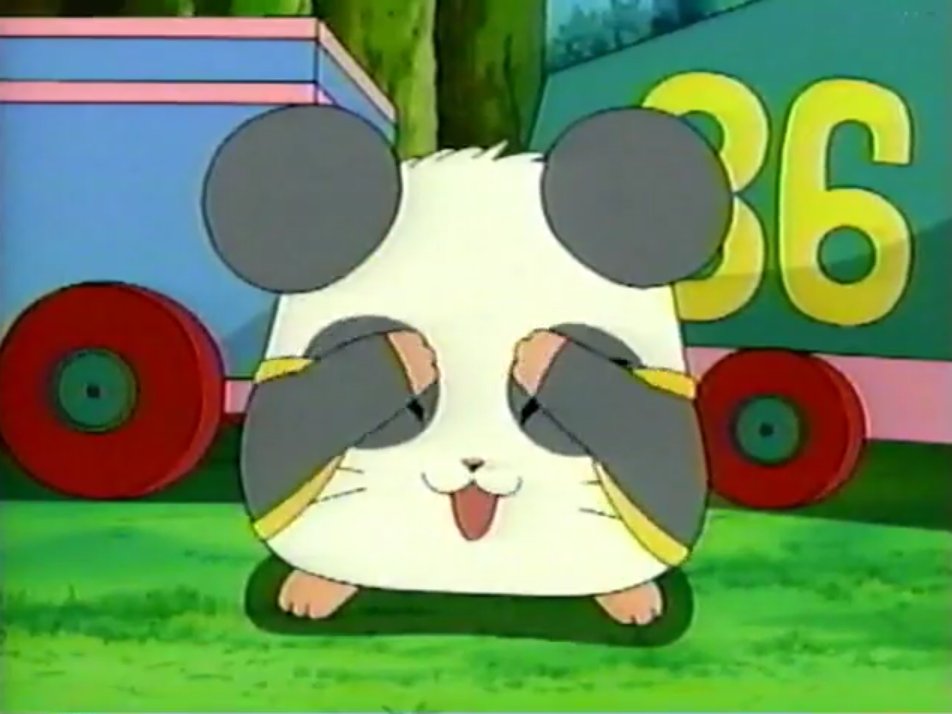Hamtaro Panda