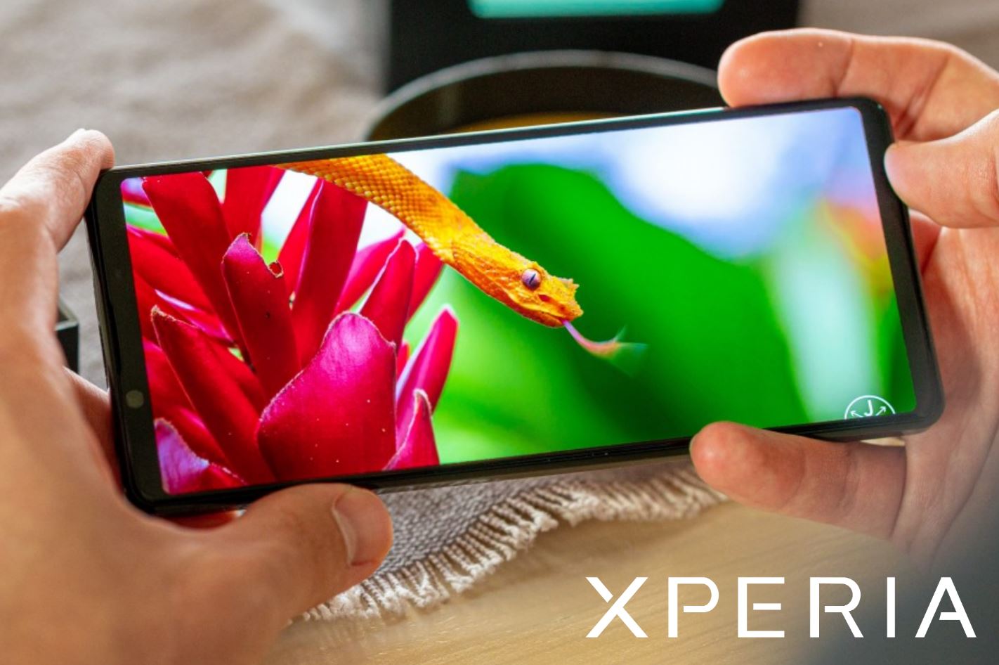 SUMAHO DIGEST on Twitter: "Xperia 1 Vには解像度ダウン・輝度アップで「最も明るいディスプレイ」の新機能追加とのリーク https://t.co ...