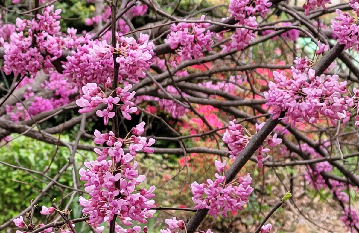 Stu Rushfield: #Kindness on Twitter: "Trying to keep looking for the bright side. What else can ...