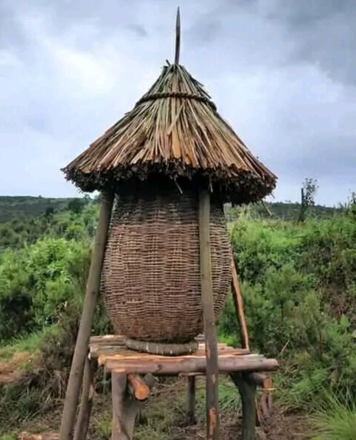 Right Cohen 🇺🇬 (@tayebwa_cohen) - Right Cohen 🇺🇬 | Rattibha