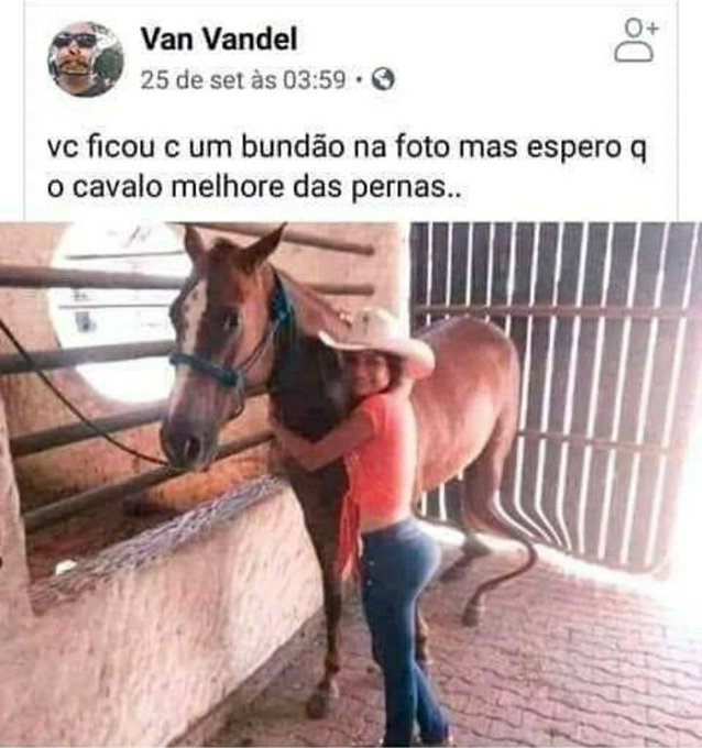 Meme Burros Ou Nada Inteligente 🗼 On Twitter
