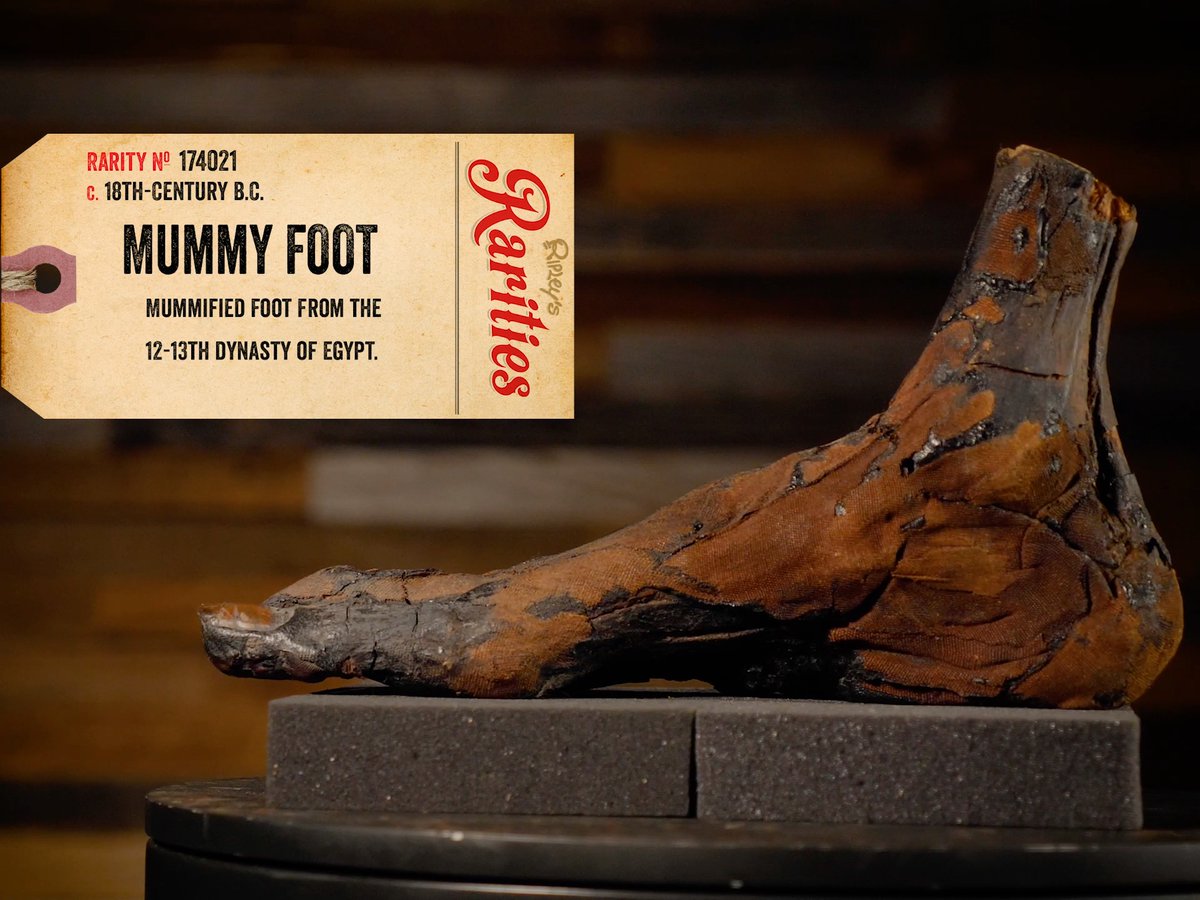 Ripley's Believe It or Not! on Twitter: "Ripley’s Rarity no. 174021 ...