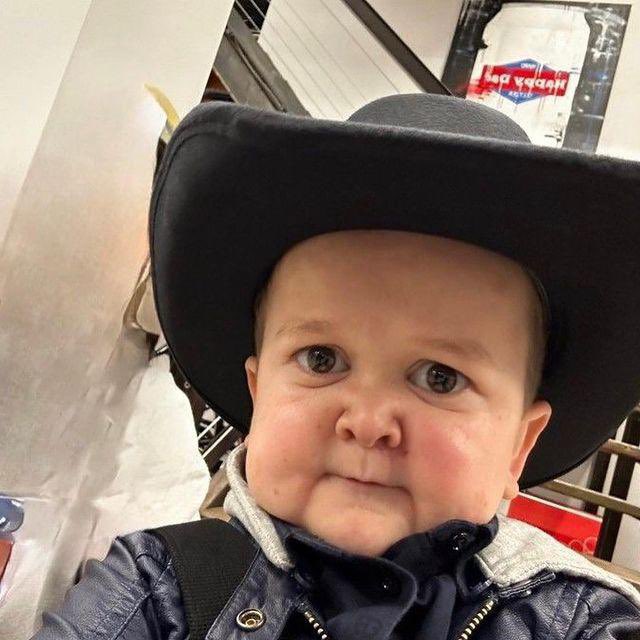 🐐 On Twitter Felt Cute Might Delete Later