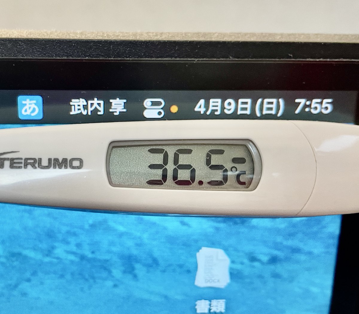 武内享 On Twitter みんなおはよう!今日もブイブイで!・・・ワサ吉達がすっかり木なのに枯葉軍団もまだ頑張ってるのが泣ける(笑)さ、コーヒー飲んで早速デス。午前中に終わらせたい