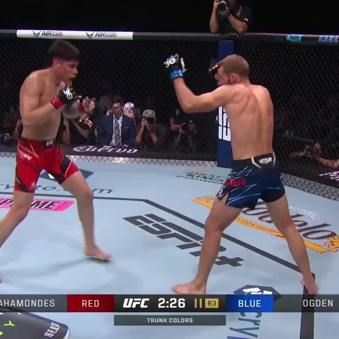 UFC Español on Twitter: UFC Español on Twitter: