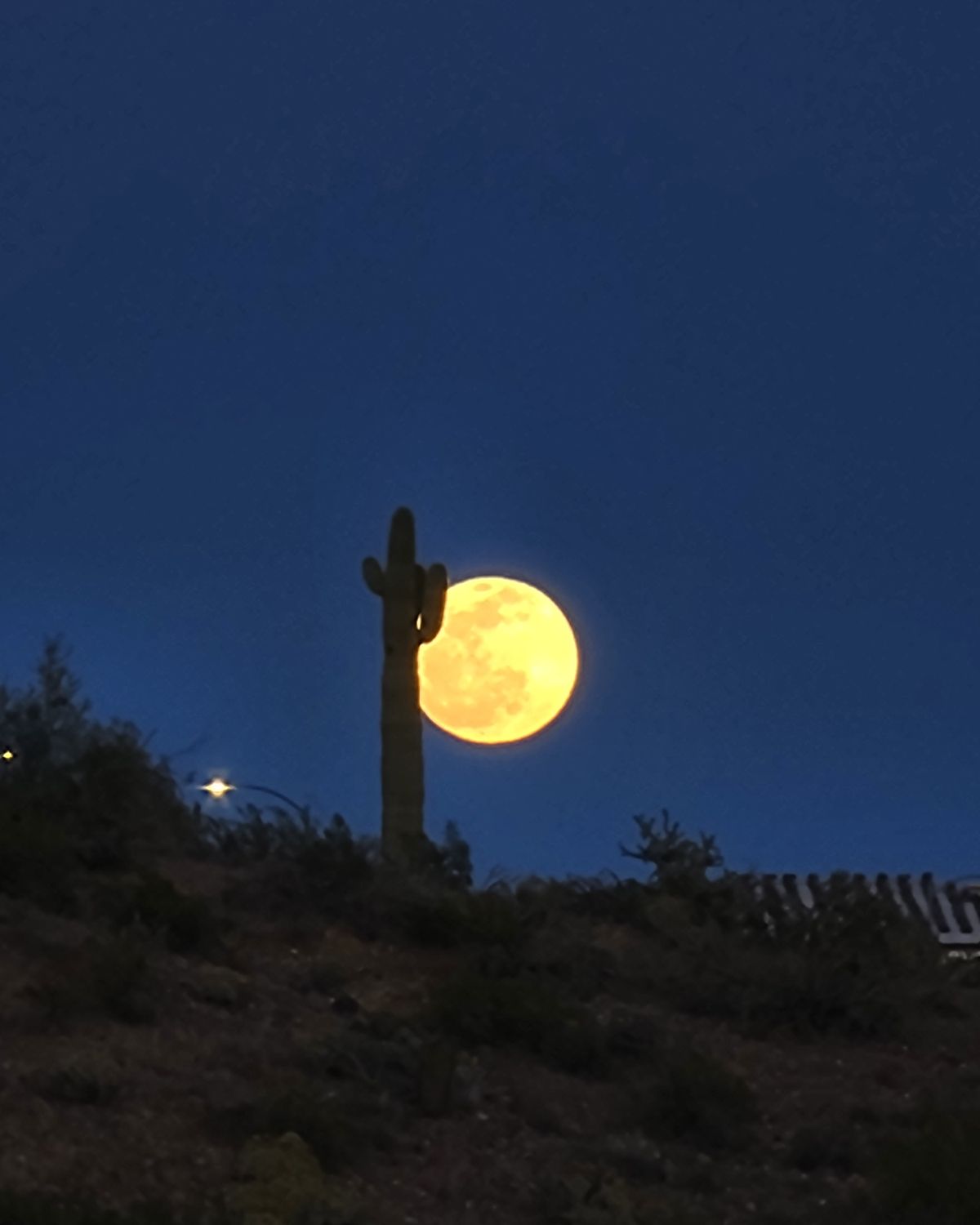 Full Moon Night Arizona Desert