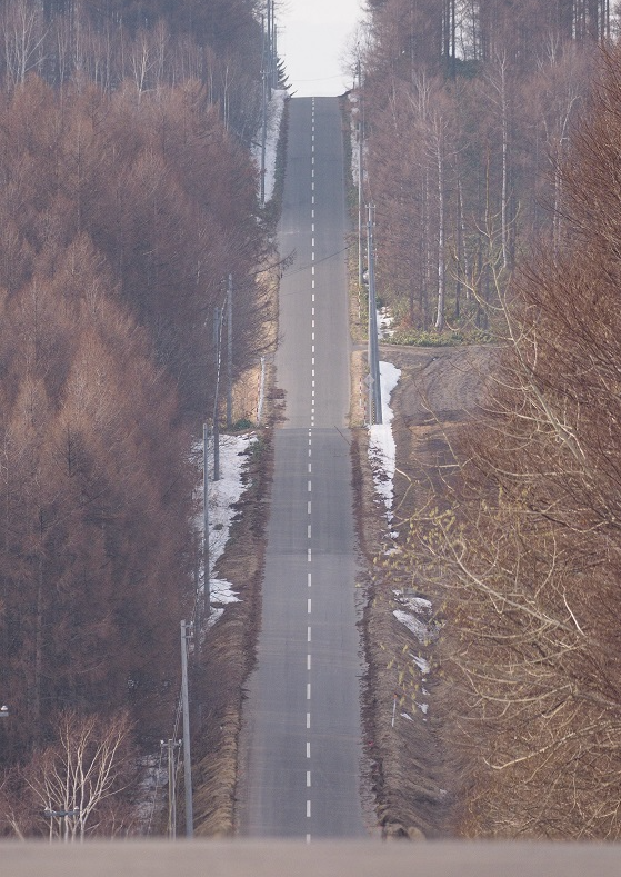 PREZO（プレゾ） on Twitter: "#ジェットコースターの路 といえば上富良野が有名ですが、今回は #旭川 の #新ジェットコースターの道 へ😊 The北海道な景色が広がる #就実 ...