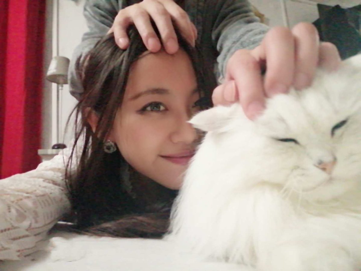 K线教主💙🧡 On Twitter 熬夜追完《爱情而已》,豆瓣维持在83分,最认可的剧评 总之爱情这东西,在你一个人能过好的情况下可以有两个人一起锦上添花的可能,但绝不可能在你过