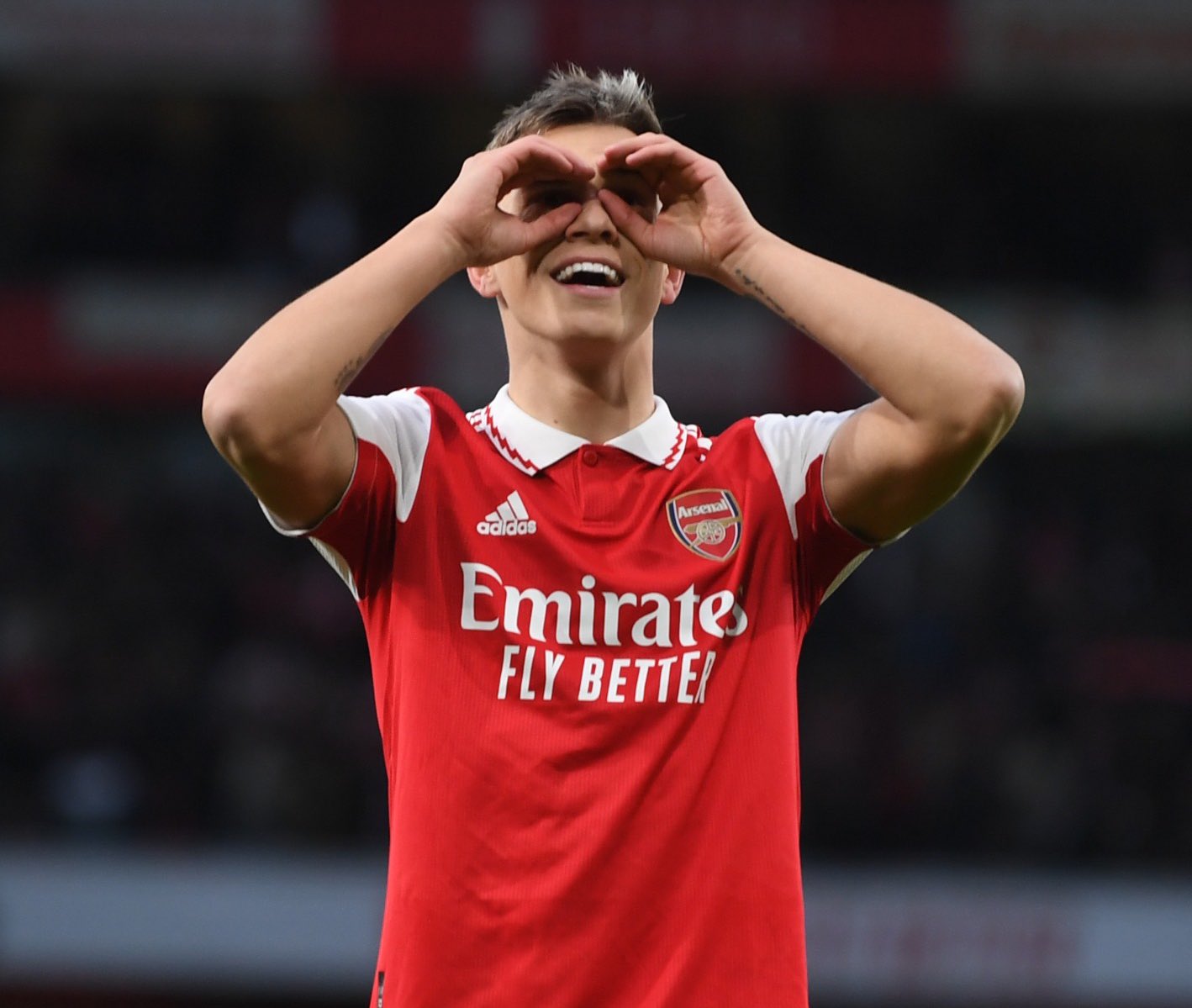 Red dippers H Sun 4th Feb KO 430pm - Page 23 - The Gooner Forum