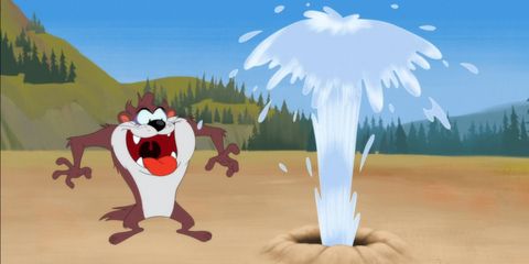 Tasmanian Devil Looney Tunes Tornado