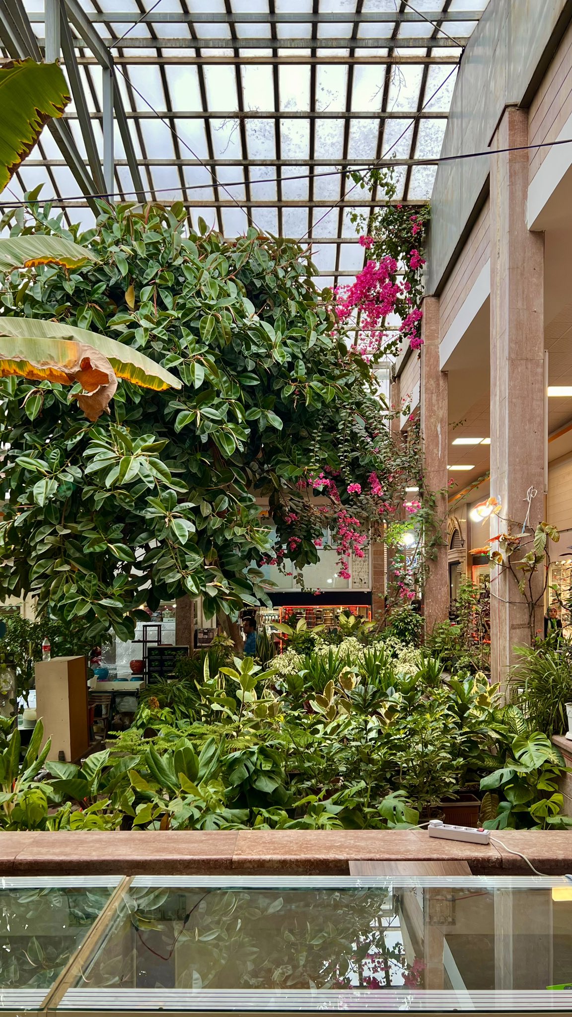 Memar_Khatoun (@gizkhatoun) / Twitter