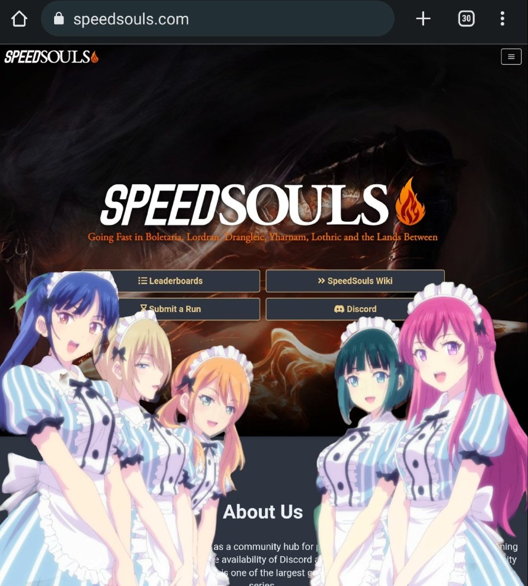 Slow Estus Memes on Twitter: "What people expect the souls Speedrun community to be after all ...