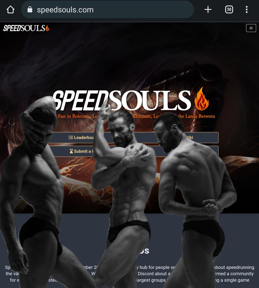 Slow Estus Memes on Twitter: "What people expect the souls Speedrun community to be after all ...