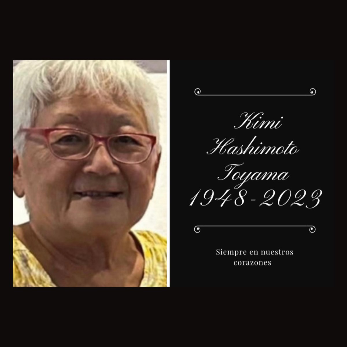 Kimi Hashimoto's Instagram, Twitter & Facebook on IDCrawl