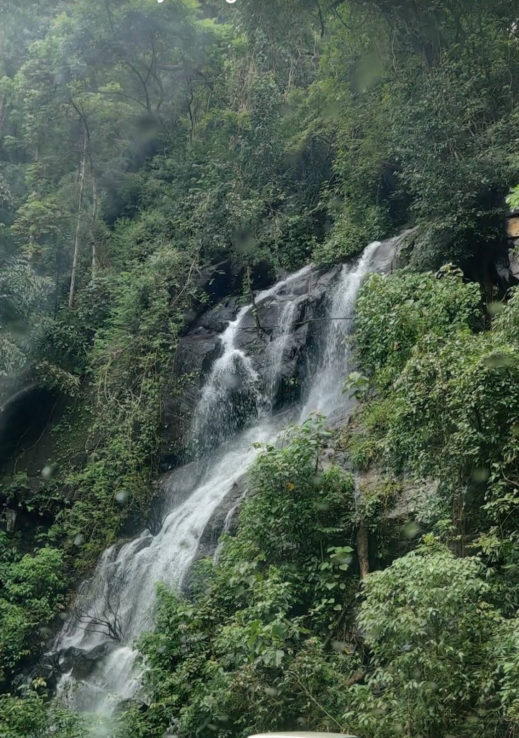 Talakaveri Wildlife Sanctuary