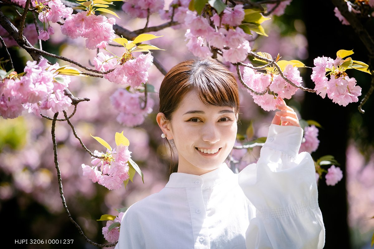 瑛泰 Akihiro On Twitter Model Tsukino71778758 桜