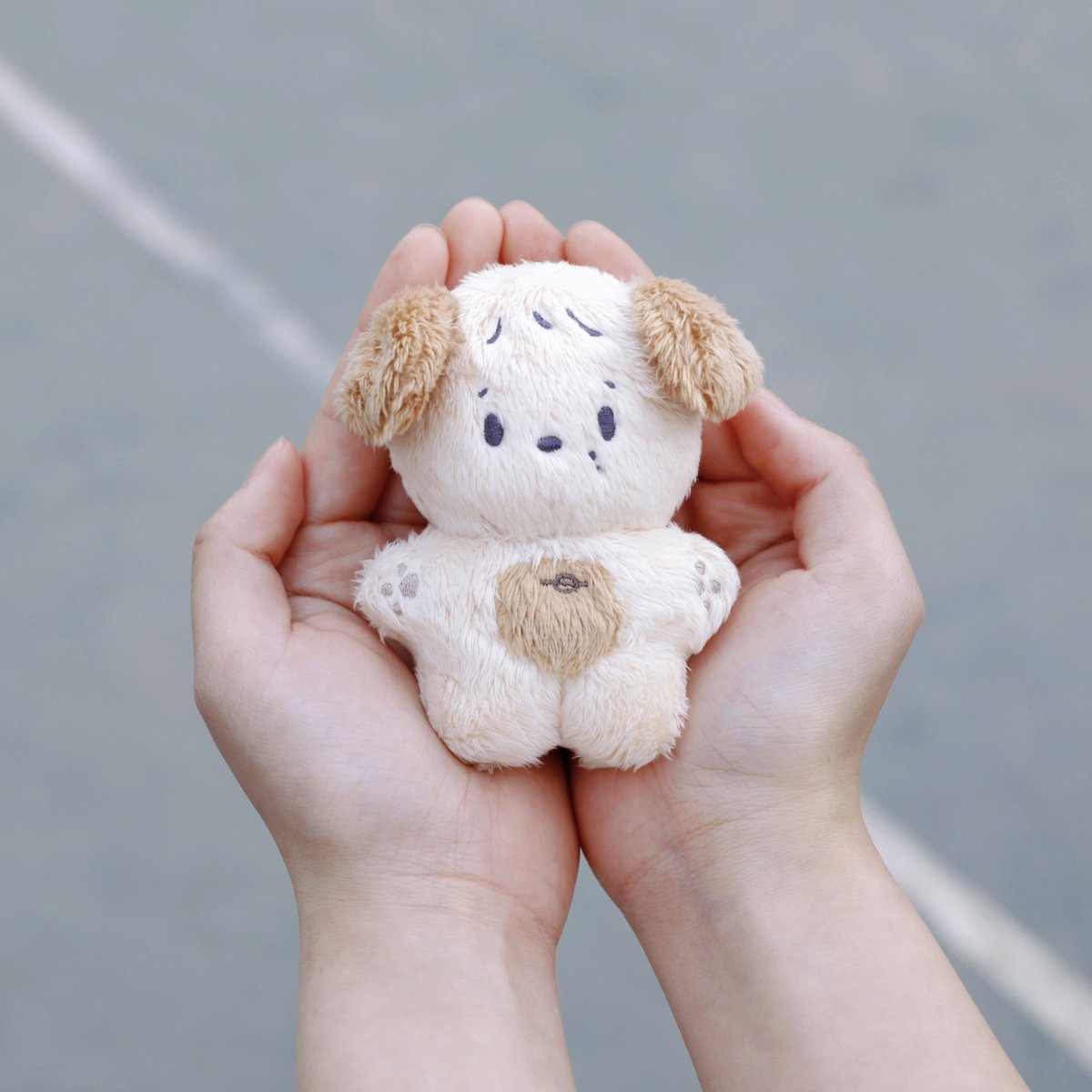 星星 🇵🇭 on Twitter: "[PH GO] Seventeen DK ‘ Dojo ’ 10cm dolls by @Shuommi ORDER FORM: http://bit ...