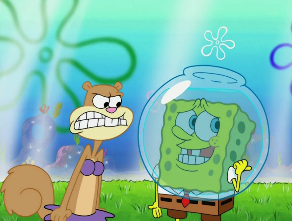 Spongebob And Sandy Family