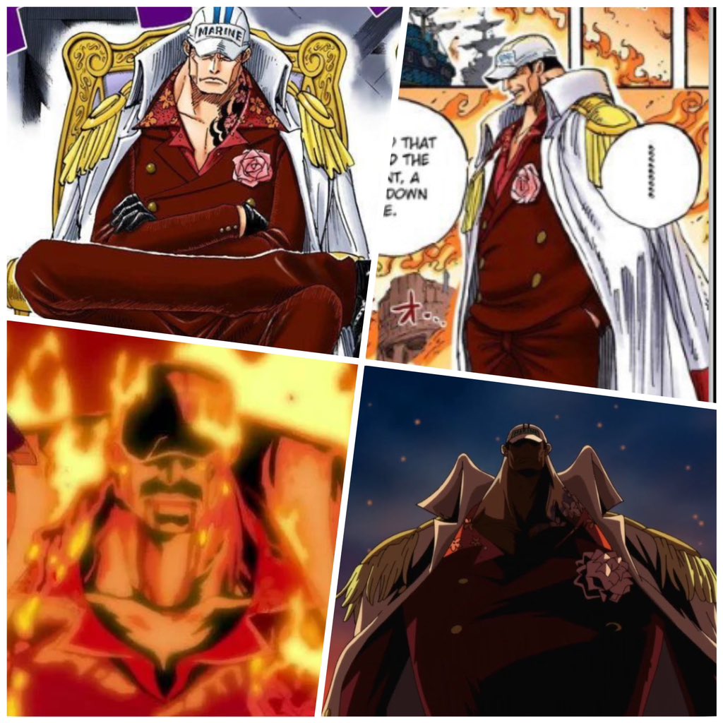 Akainu One Piece Timeskip
