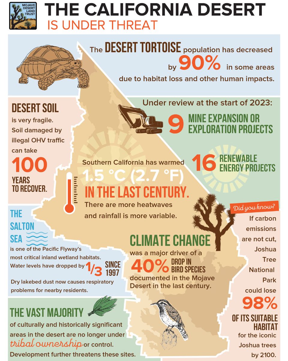 Mojave Desert Land Trust on Twitter: "While biodiversity loss and ...