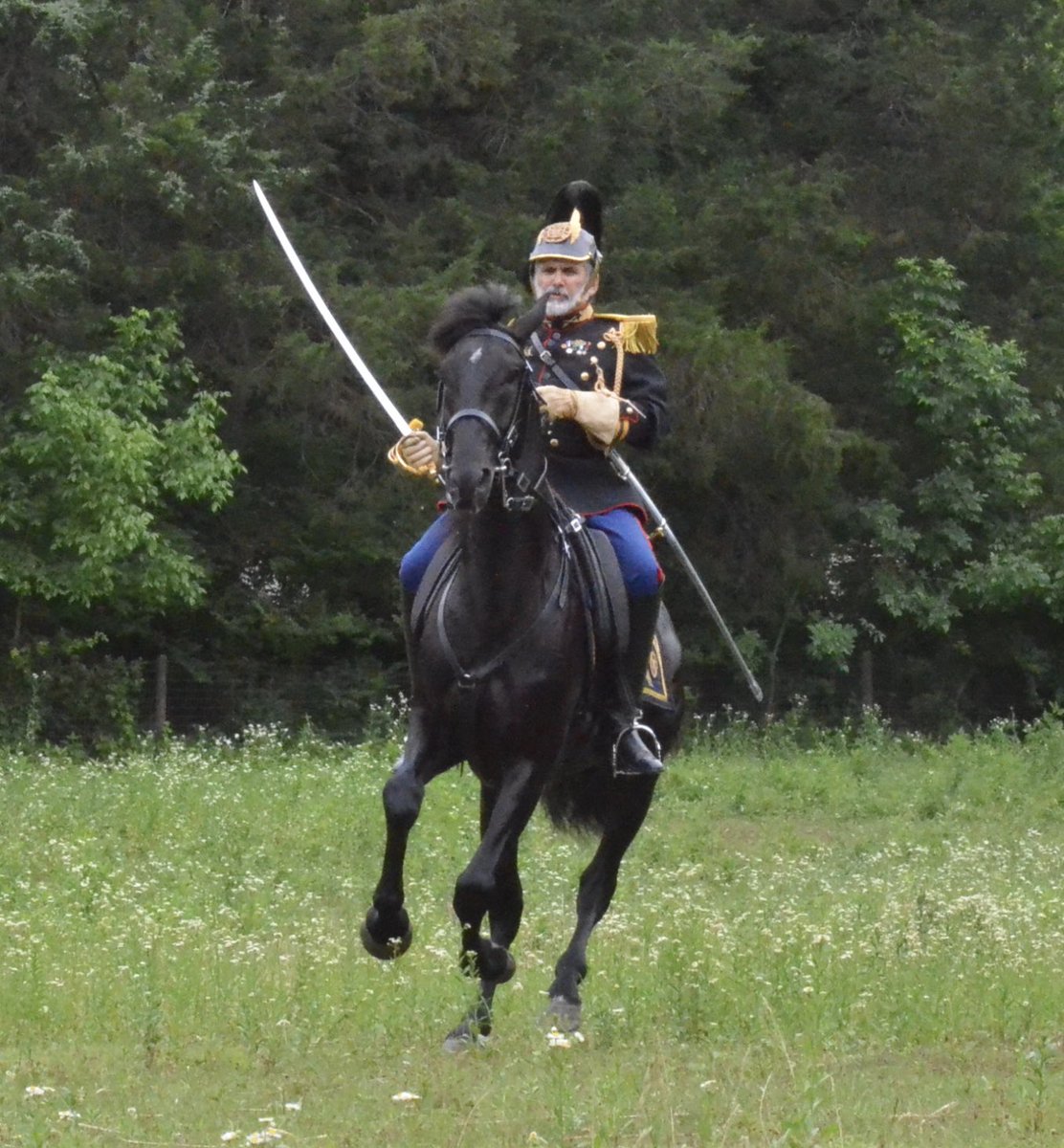 Robert Malone served as Director, Business Development and Program ...