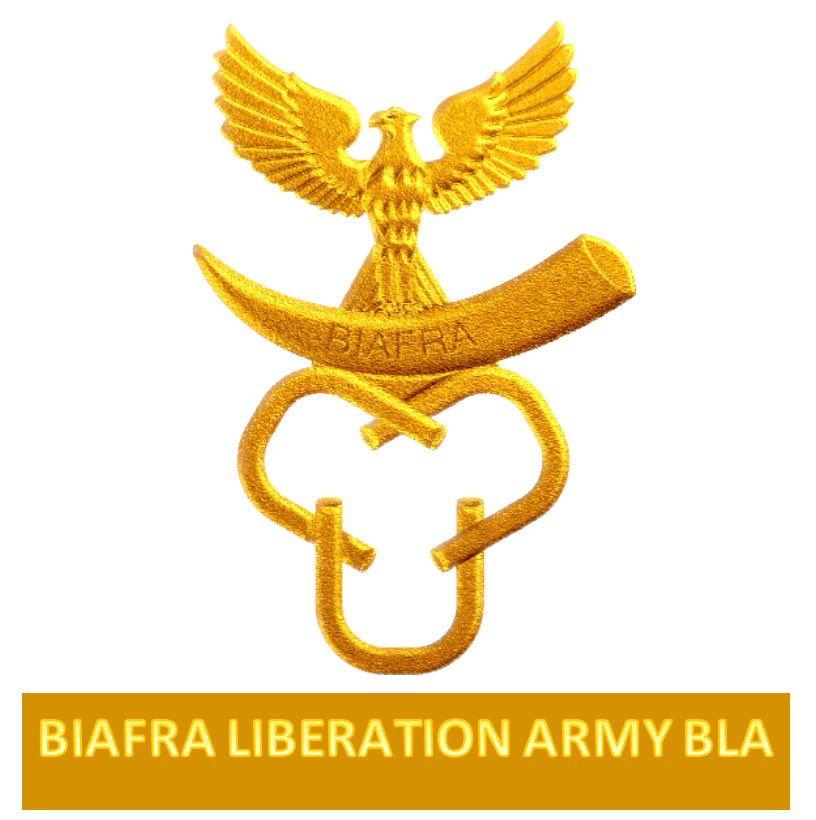 Daughter of GOD on Twitter: "RT @Africancultu: The BIAFRA liberation army is back to safeguard ...