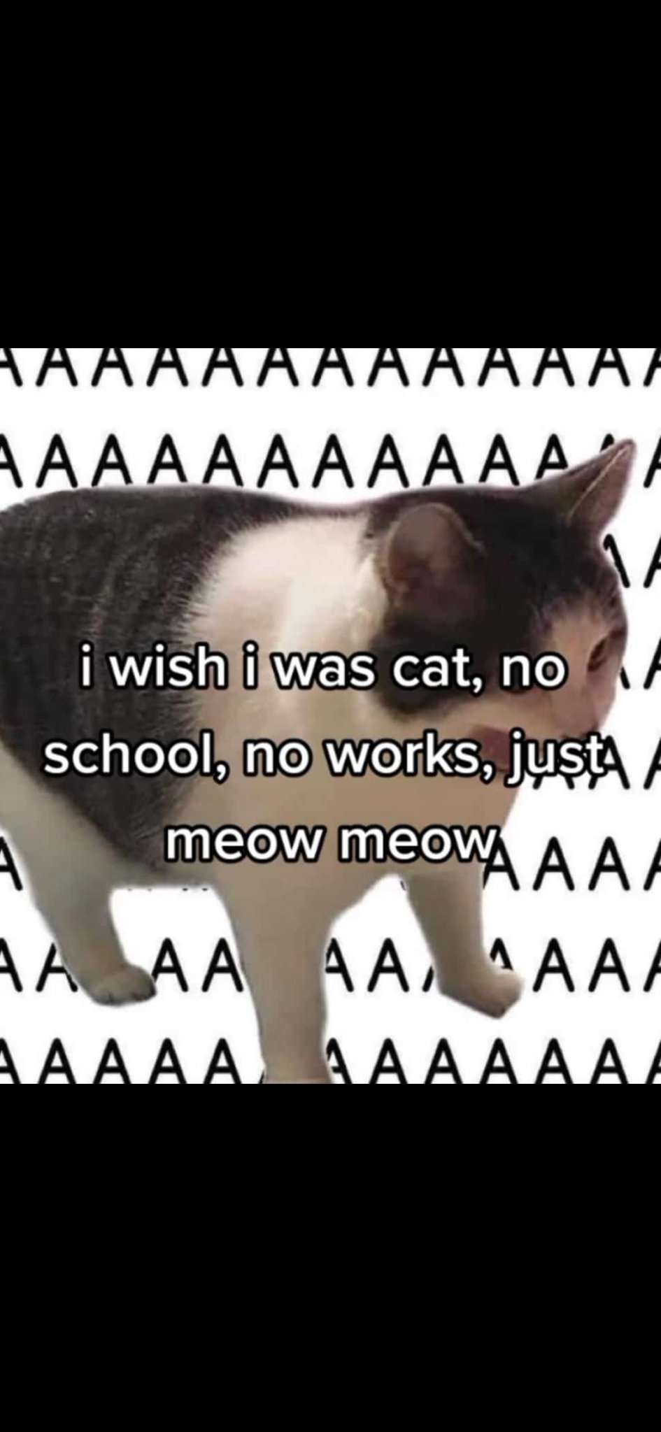 dede gemes on Twitter: "https://t.co/RZyRvQUqiV" / Twitter