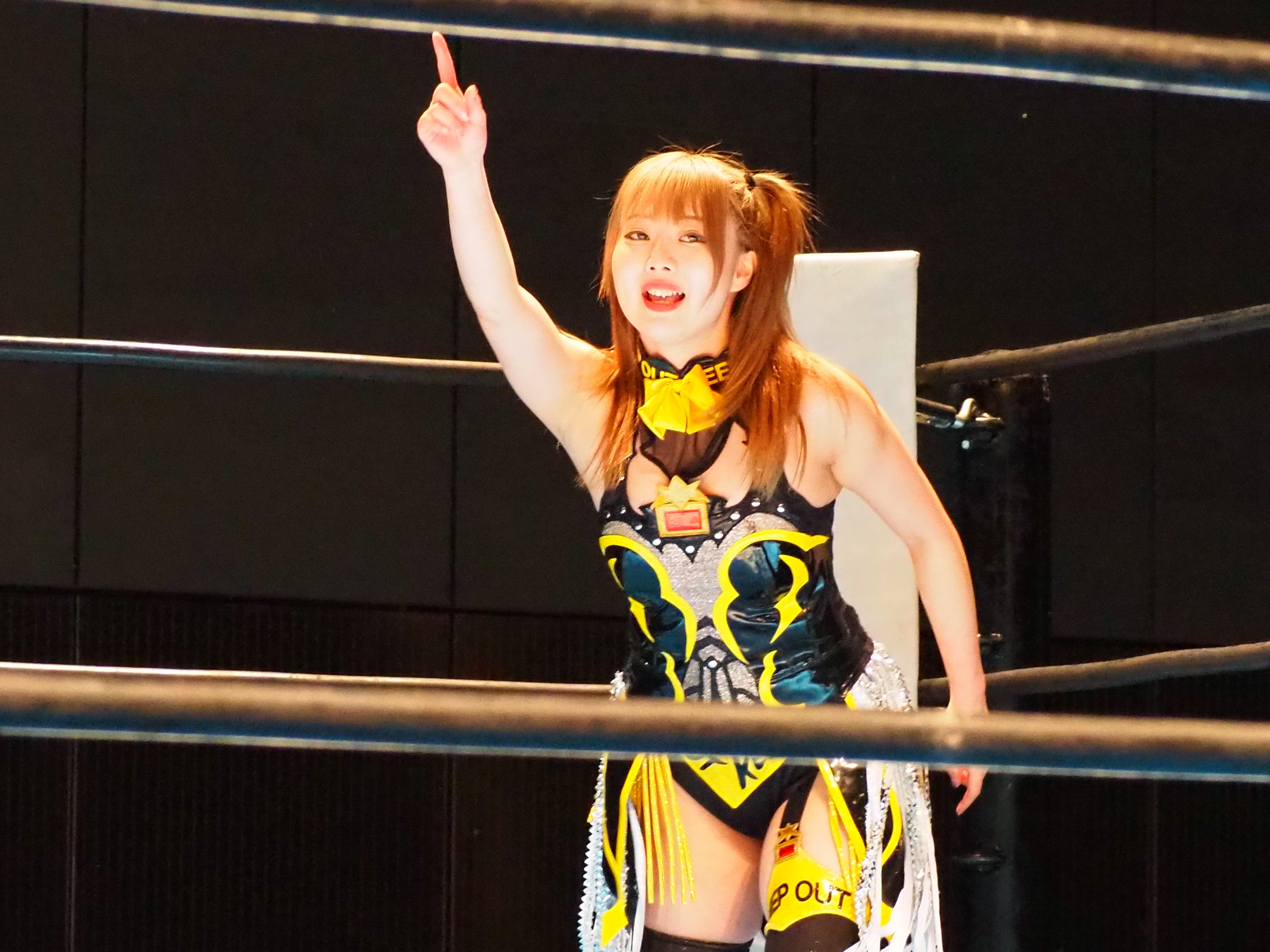 アーツ@ICEべきプロレス (@ar2_icefan) / Twitter