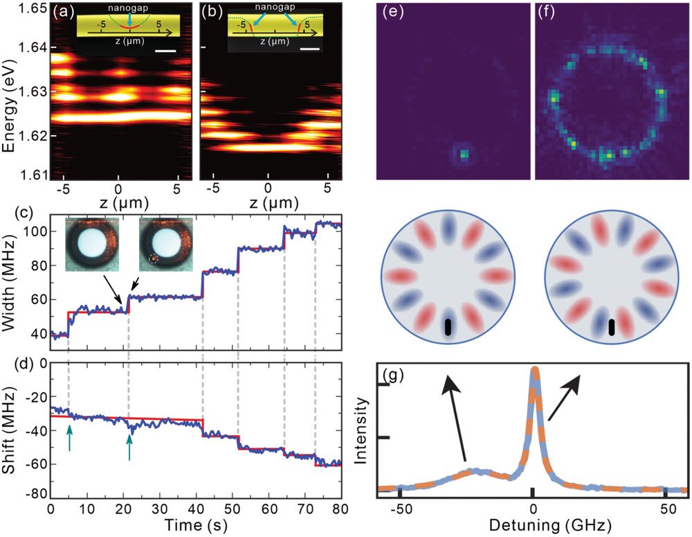 Thread by @NotTheMacAnon1 on Thread Reader App – Thread Reader App
