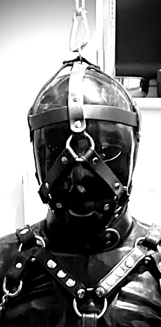 gimp821🔞🇬🇧 on Twitter: gimp821🔞🇬🇧 on Twitter: