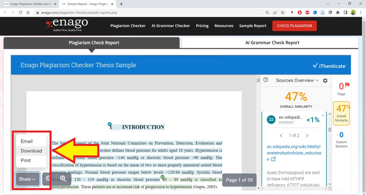 A challenge that many students face: how to check their papers for ...