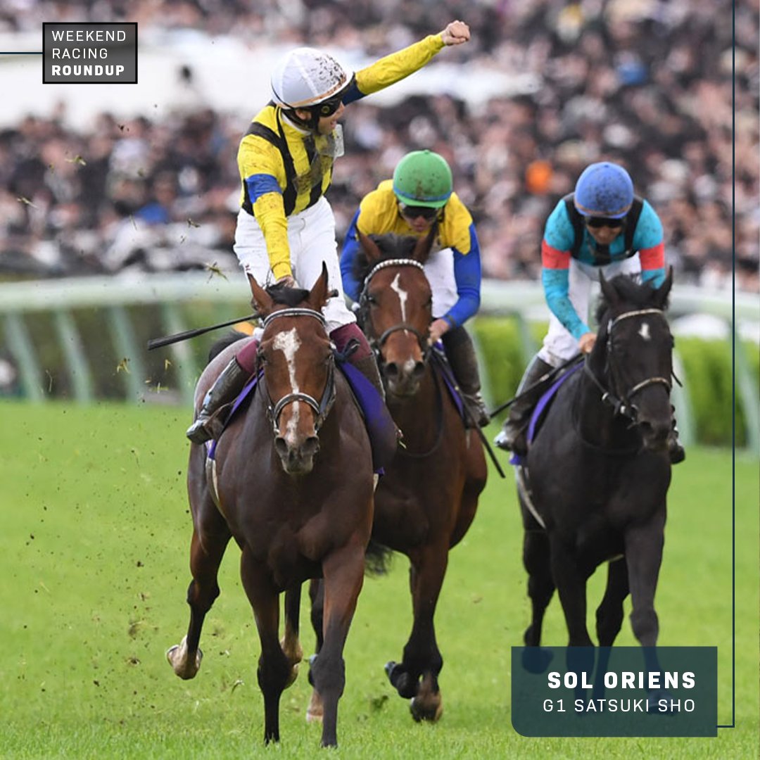 World Horse Racing on Twitter: "WEEKEND RACING ROUND-UP 📝 🇯🇵 SOL ORIENS ...