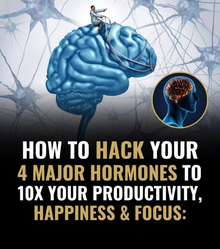 Ninja Wisdom | Self Improvement on Twitter: "How to hack your 4 significant hormones:"