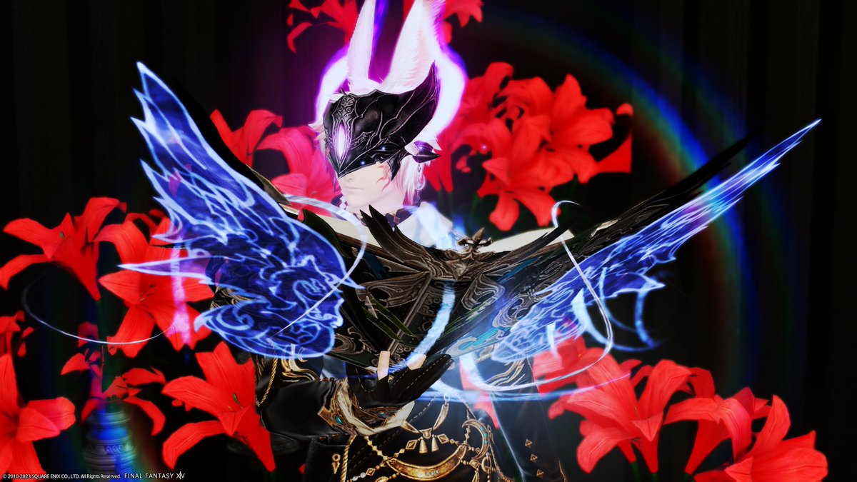 LeNimo Sea | StudioXIV