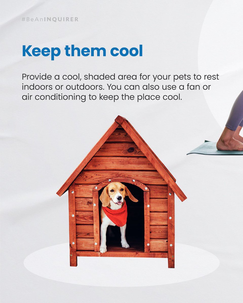Inquirer on Twitter: "RT @BeAnINQUIRER: ARE YOUR PETS SUMMER READY? ☀️🐾 Hot weather can be "ruff ...