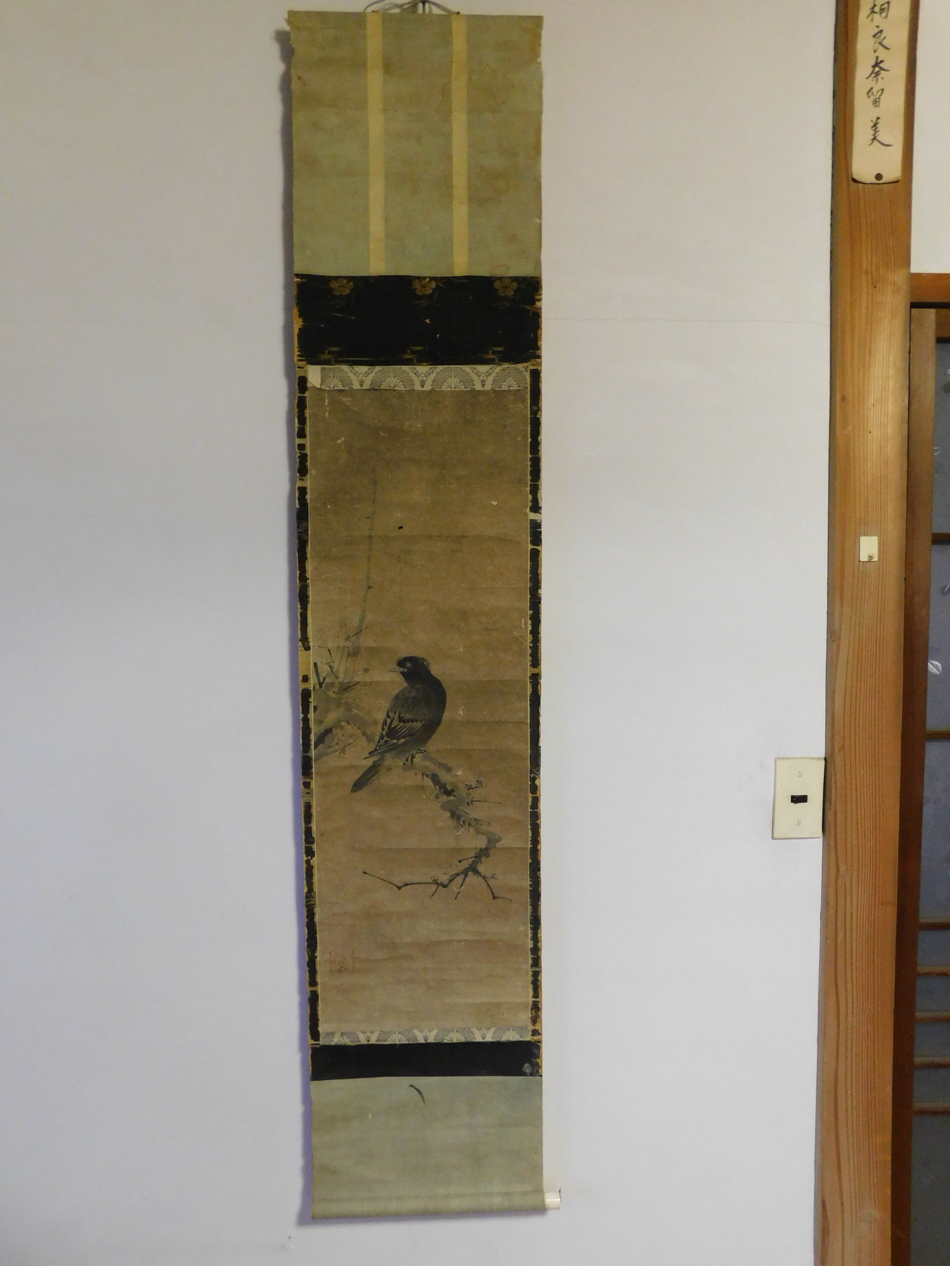 流石隕石 (@kohionagasu) / Twitter