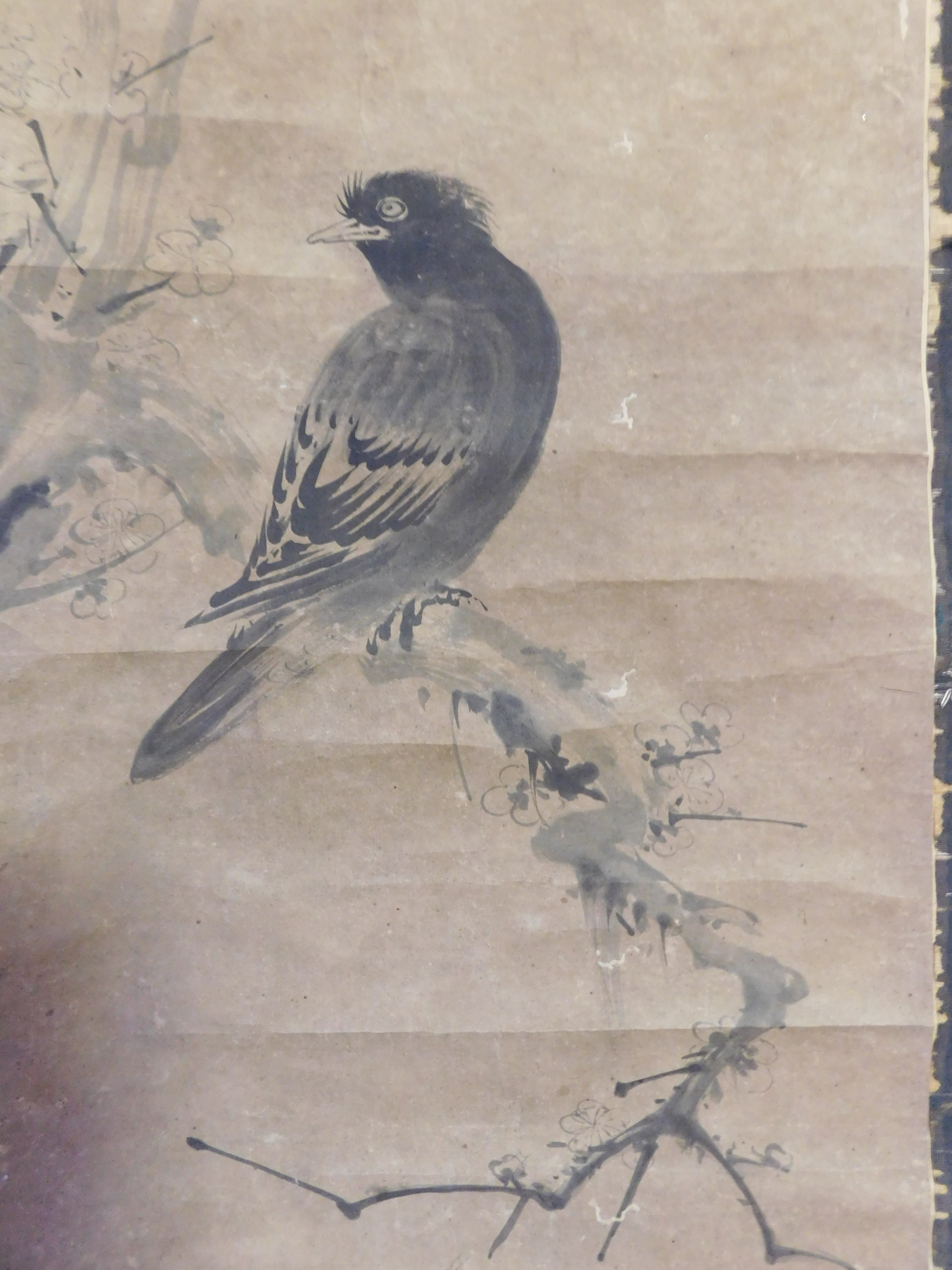 流石隕石 (@kohionagasu) / Twitter