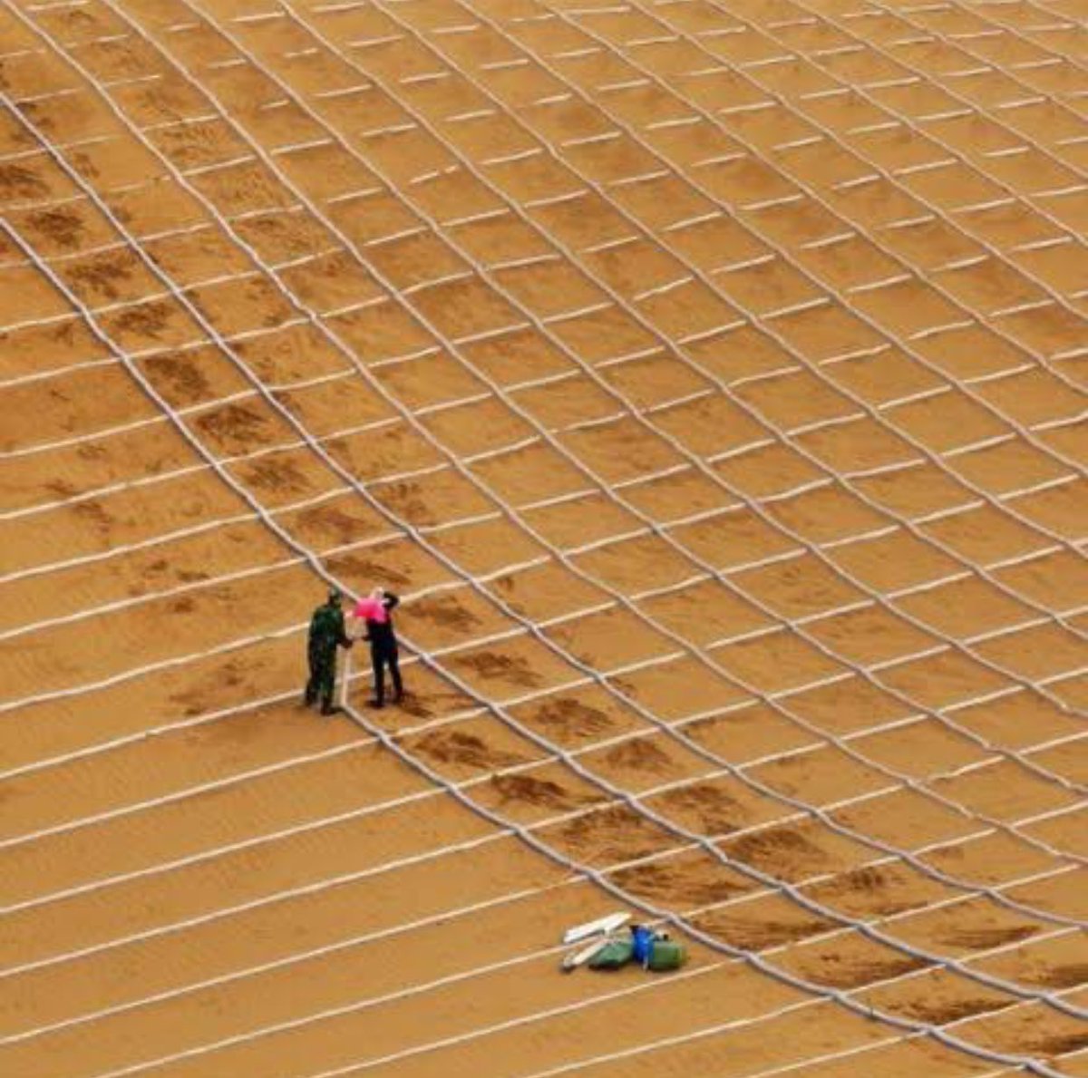 🇨🇳| In China, reforestation is carried out on a giant, massive and ...